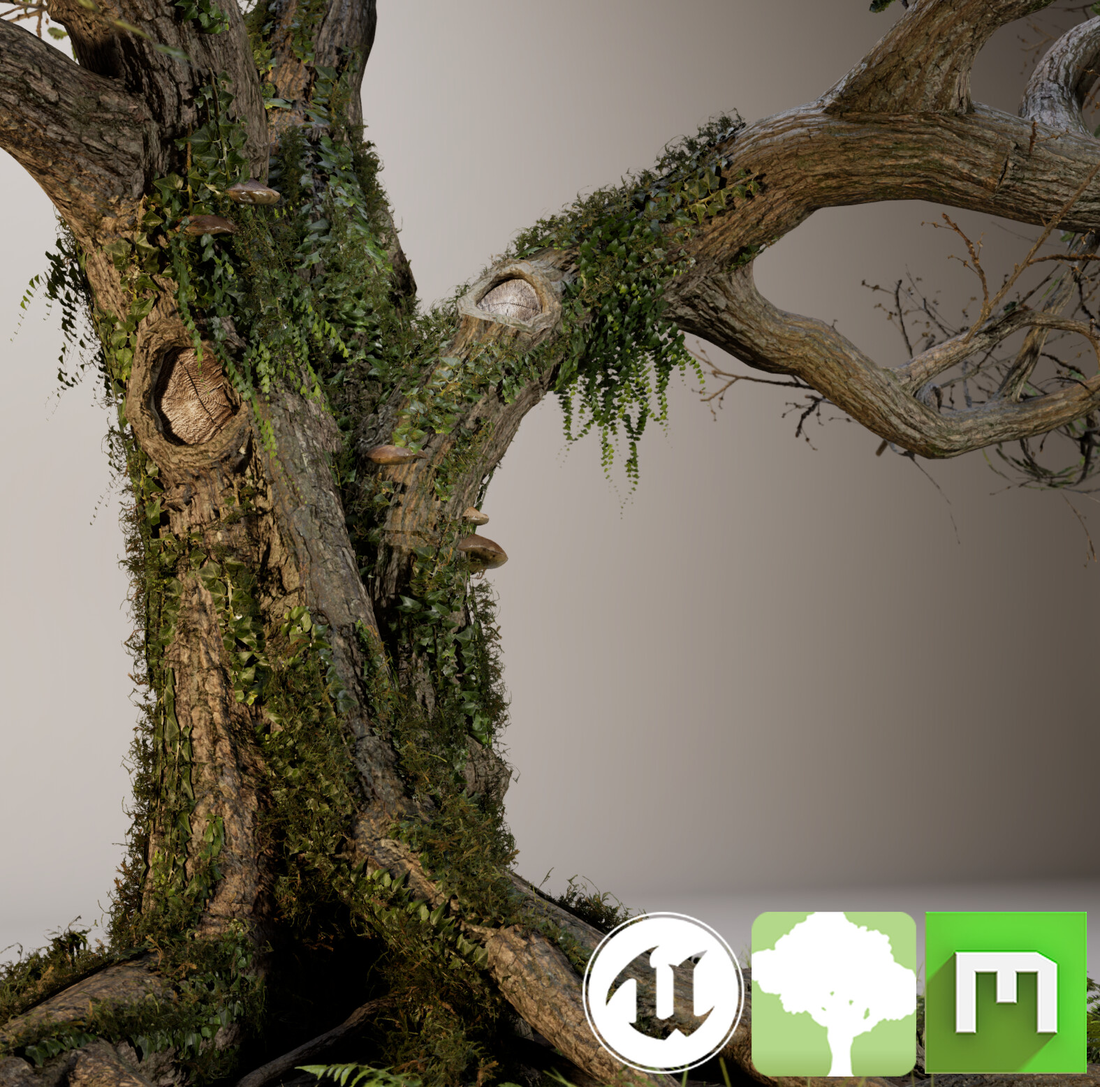 ArtStation - Vegetation Modeling with SpeedTree