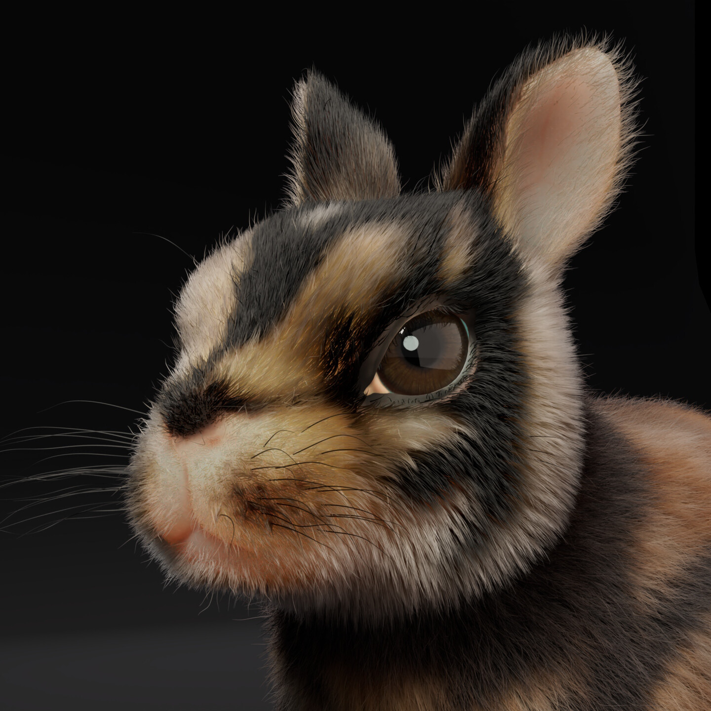 ArtStation - Annamite Striped Rabbit