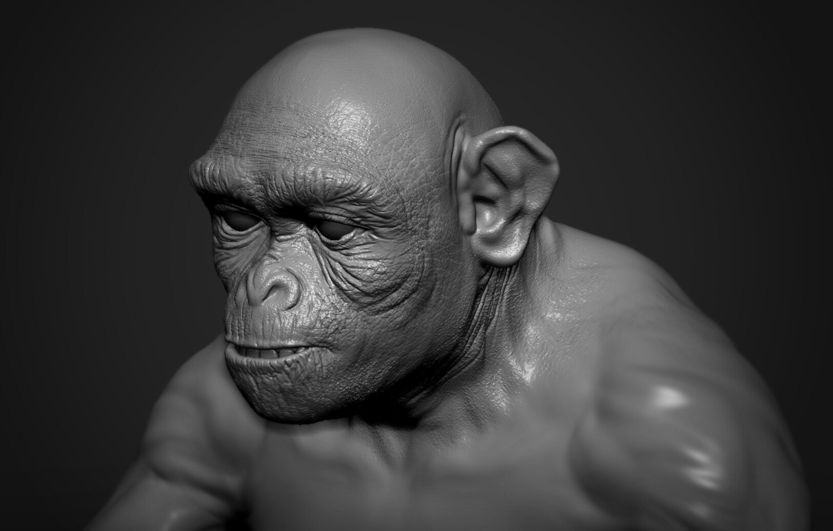 ArtStation - Chimpanzee Head Practice Sculpt