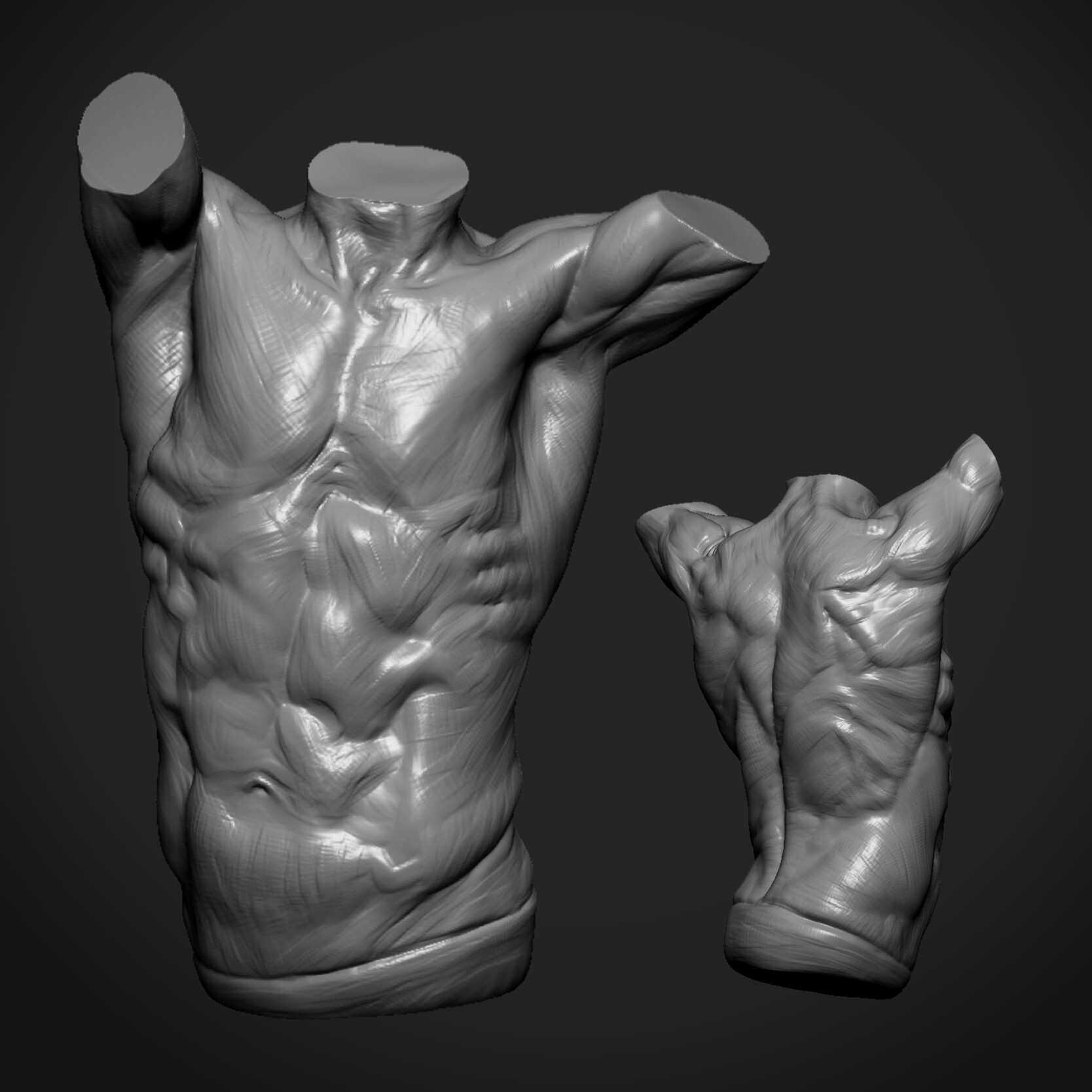 ArtStation - Male Torso Practice Sculpt