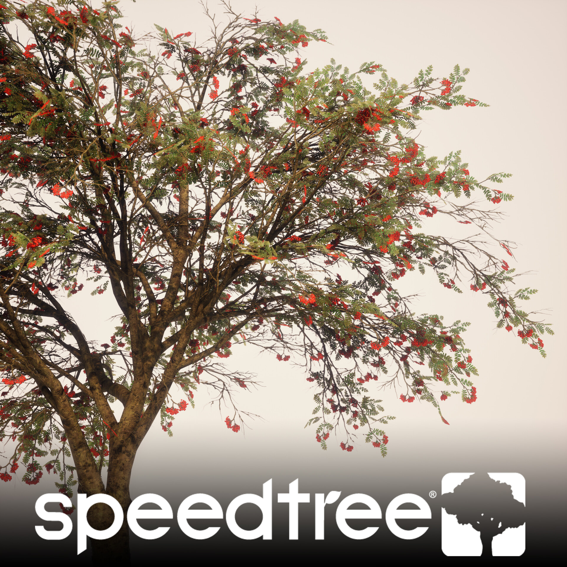 ArtStation - Rowan Trees - Forest Environment Assets Vol. 1