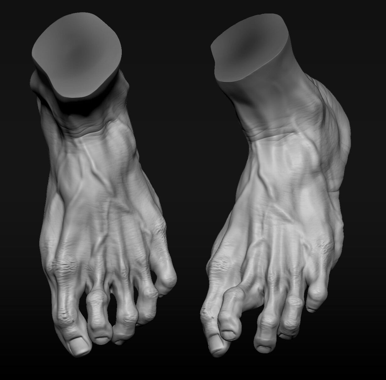 ArtStation - Speedsculpt #25. Foot