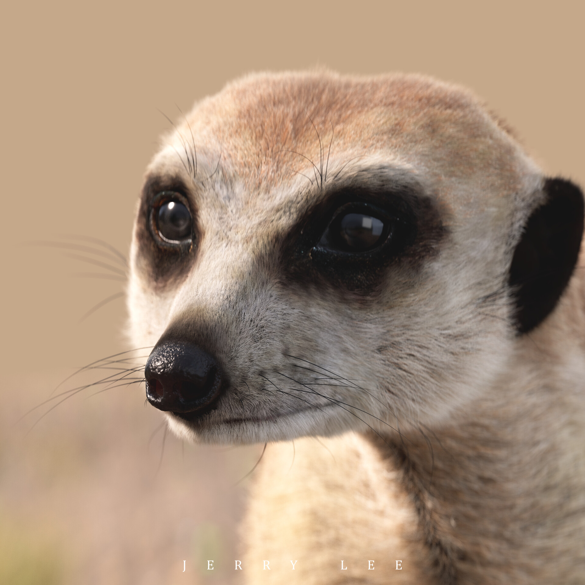 ArtStation - Meerkat 3D Model (Timon-inspired) | Cycles Render