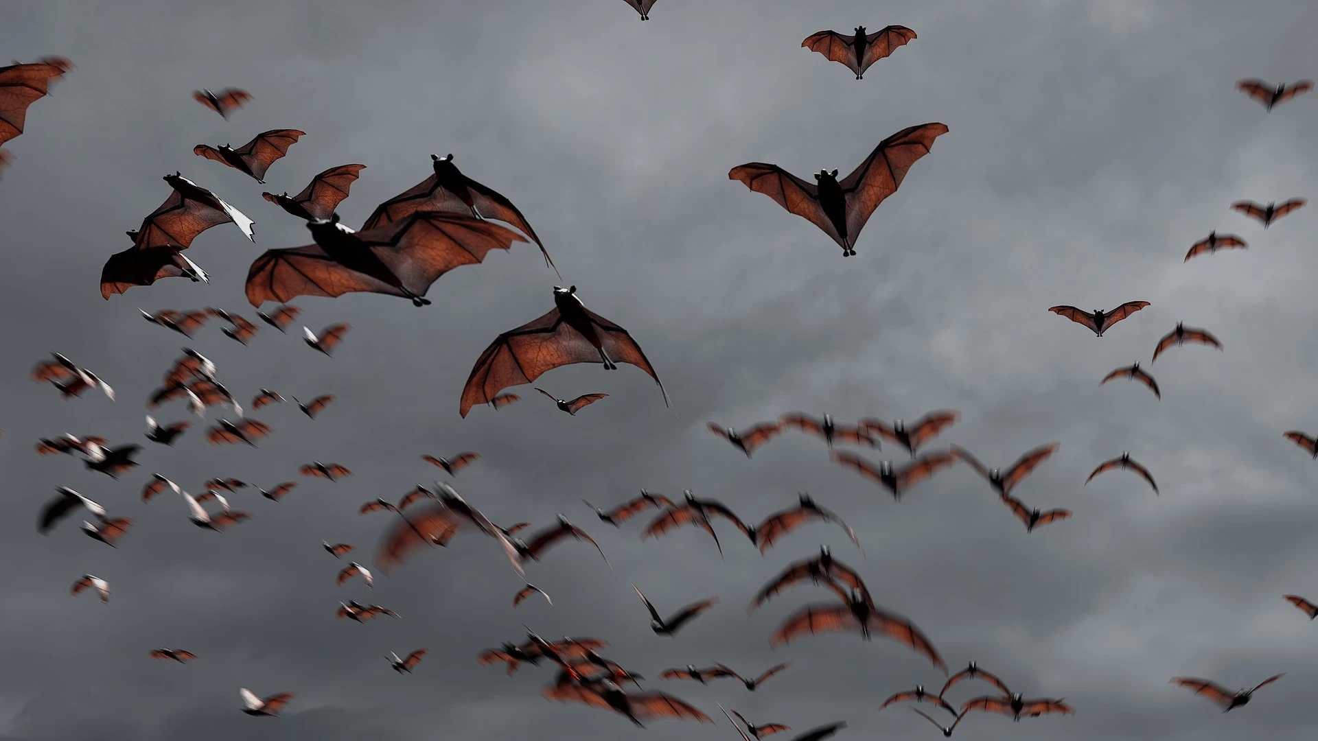 ArtStation - Creating Animated Bats with Geometry Nodes 🦇