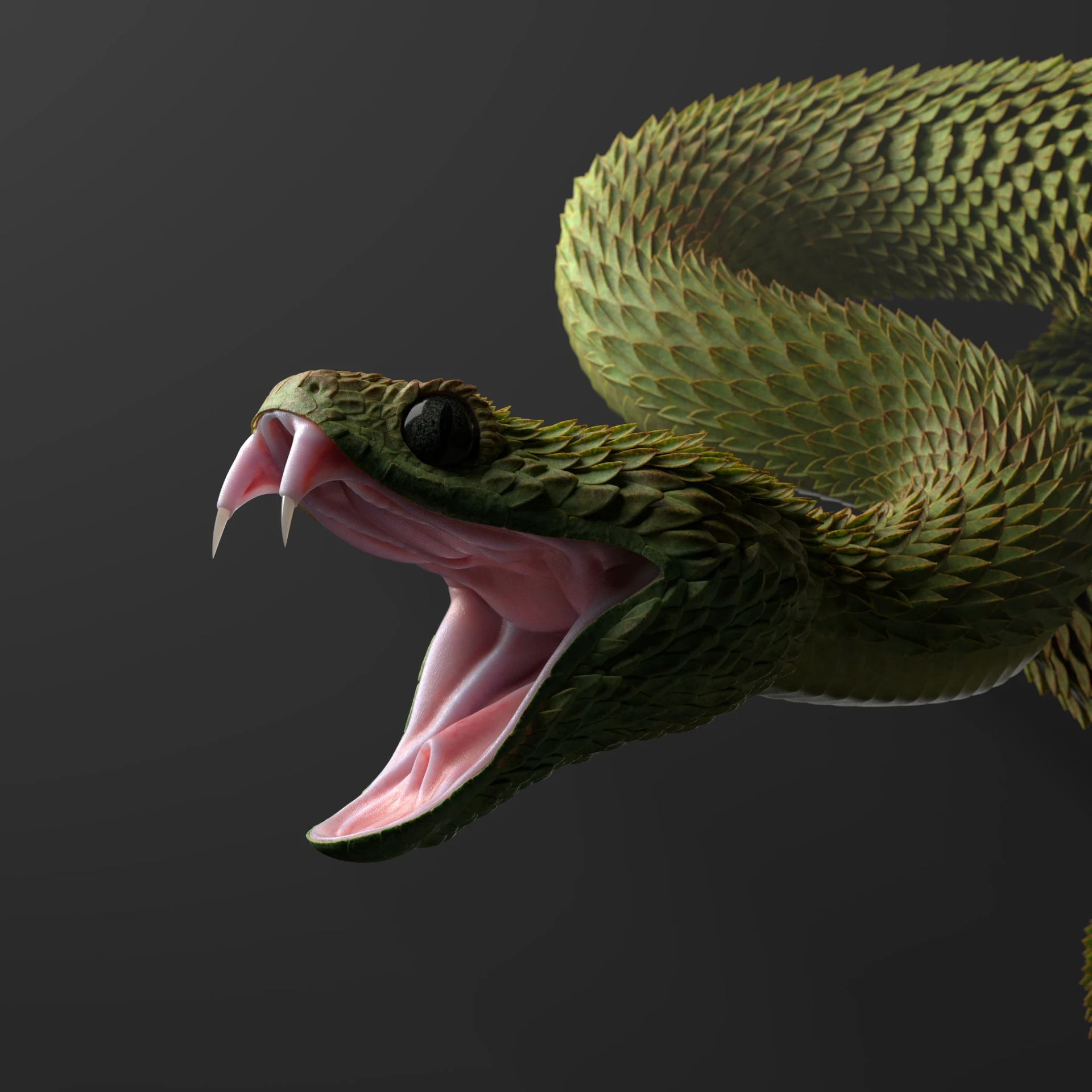 ArtStation - Bush Viper
