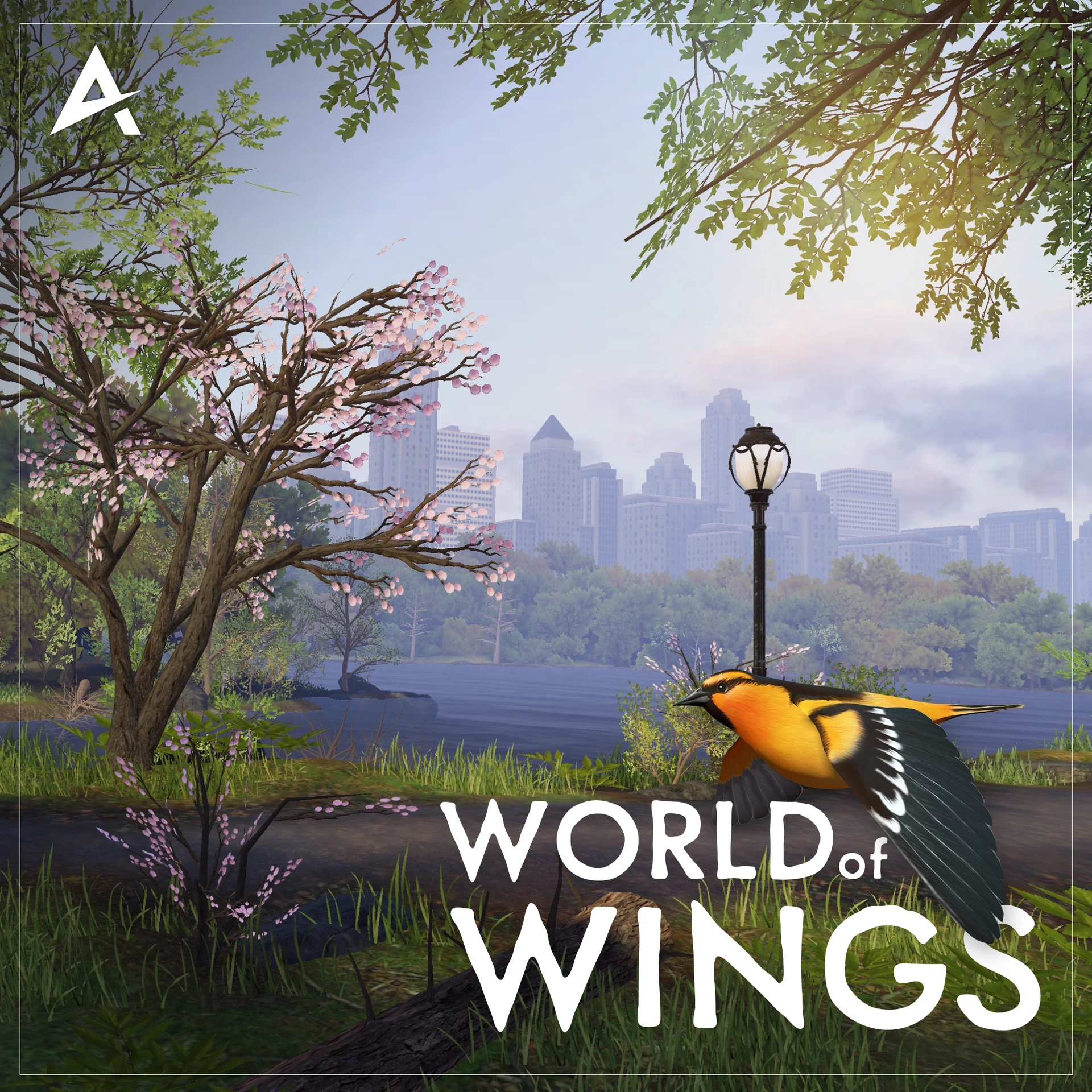 ArtStation - World of Wings
