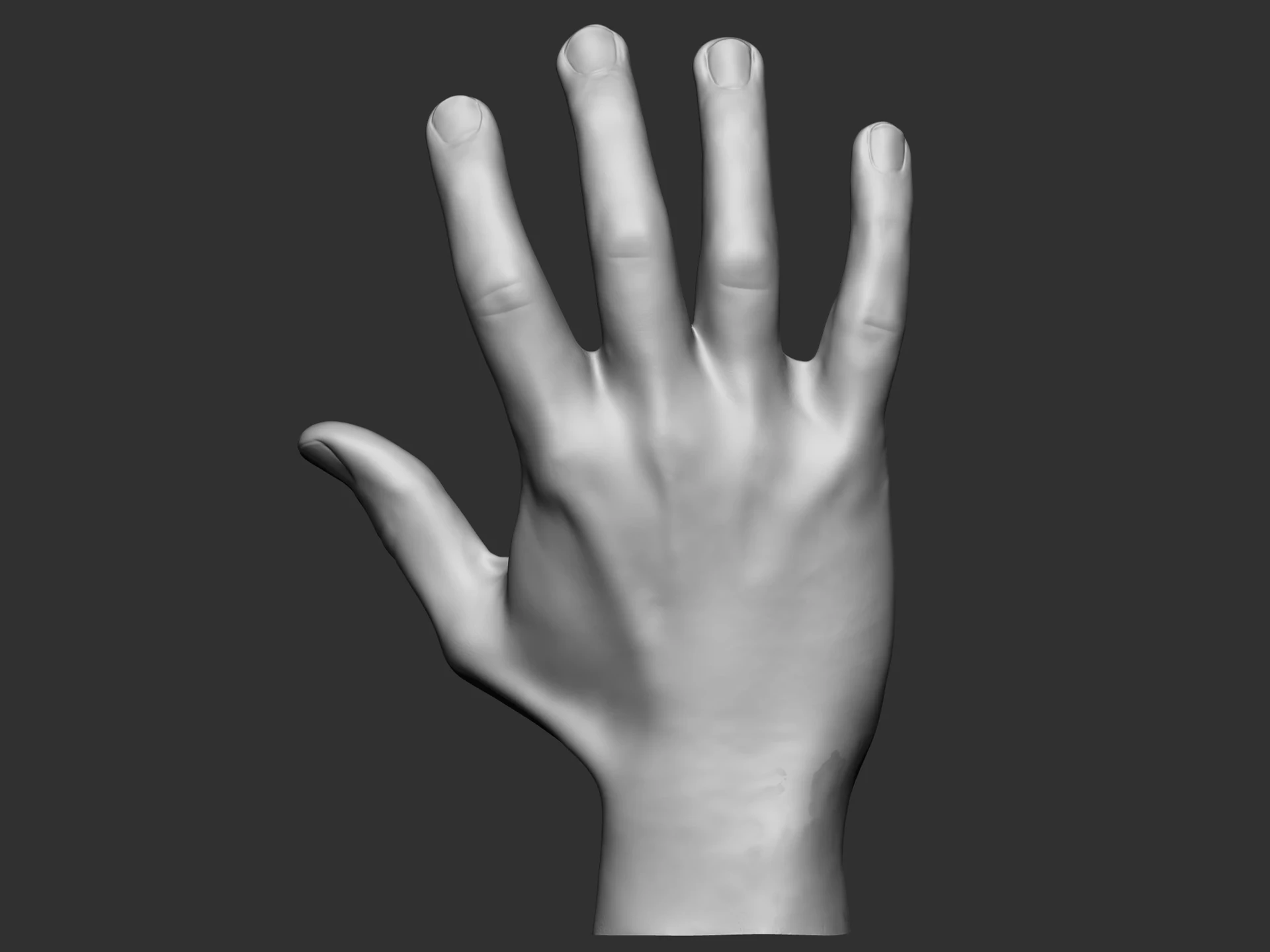 ArtStation - Hand Study - Sculpt