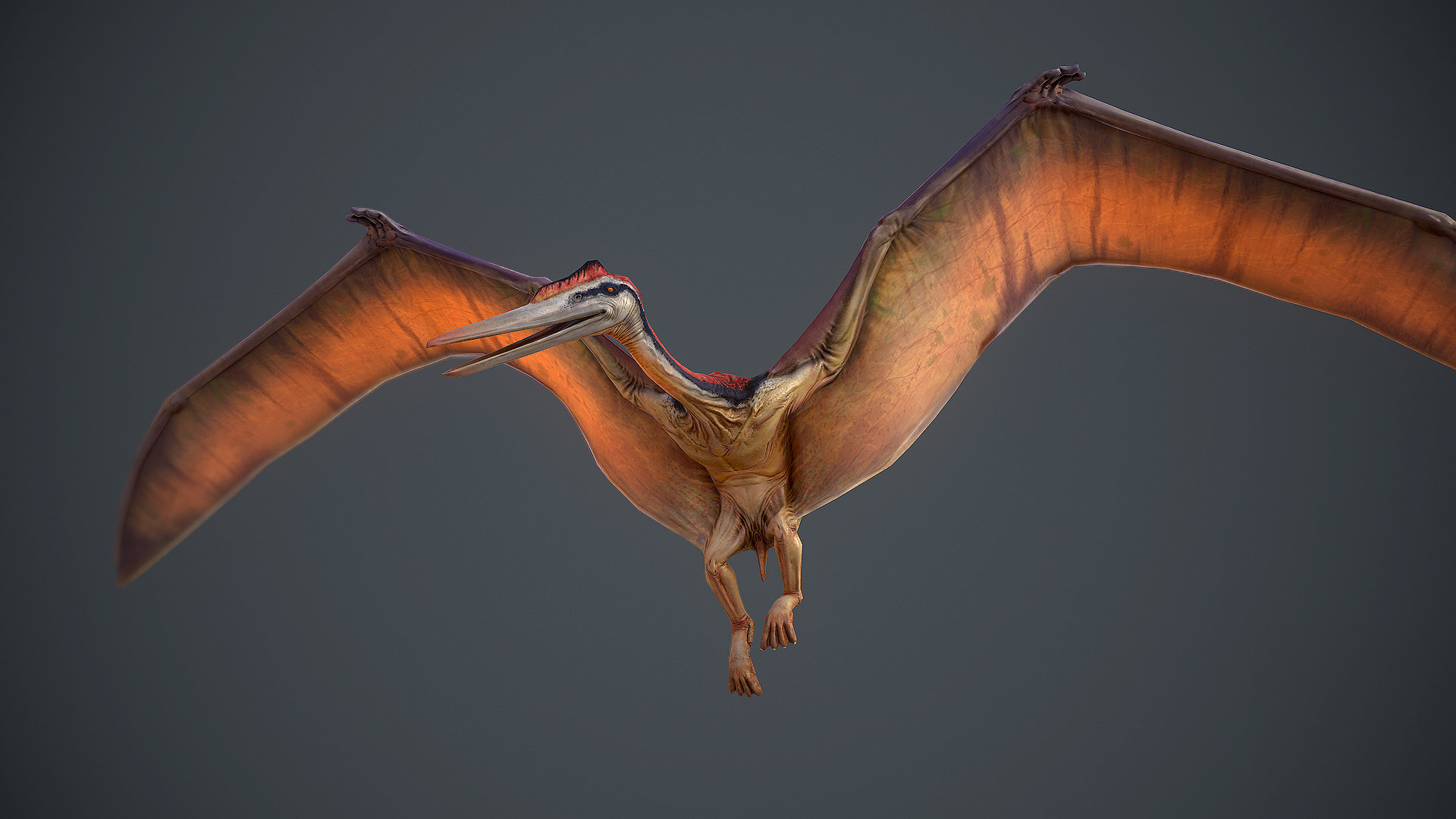 ArtStation - Pterosaur