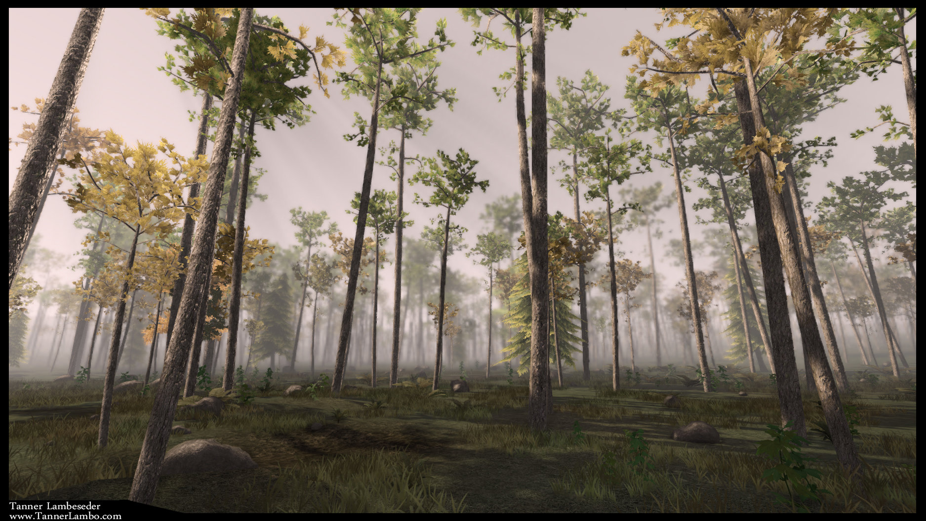 ArtStation - Forest