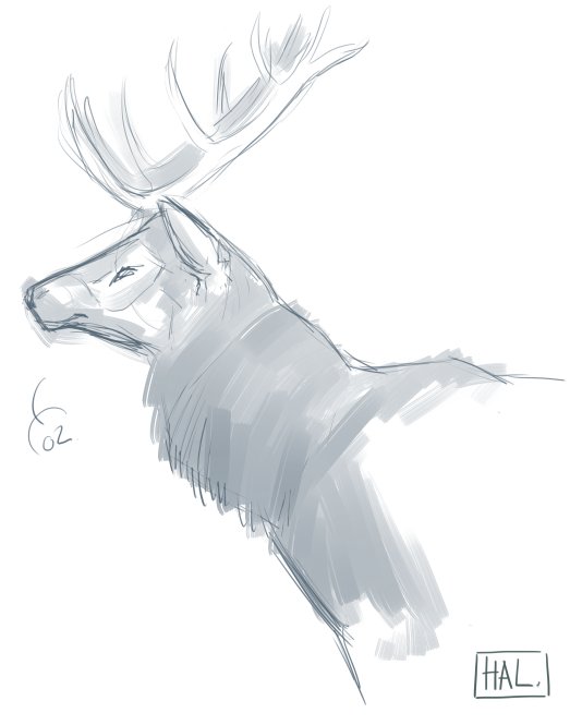 deer art reference