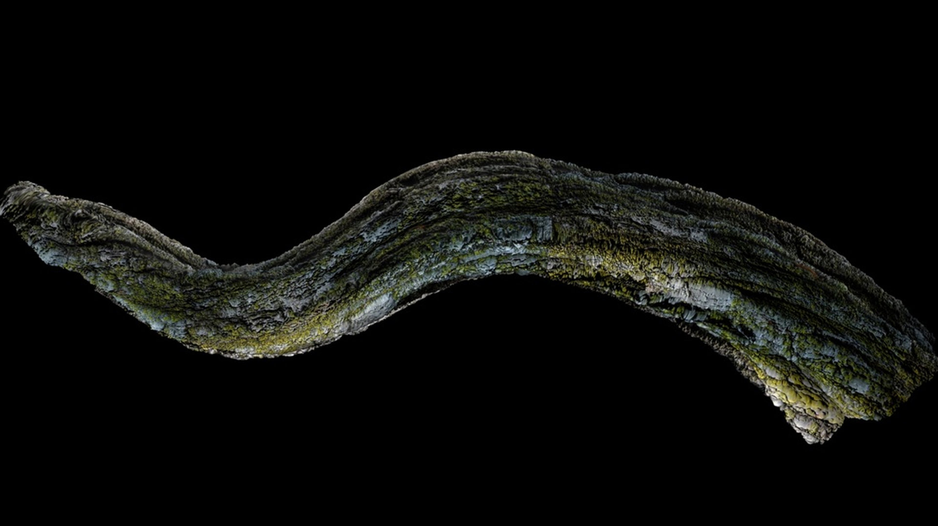 ArtStation - Branch test