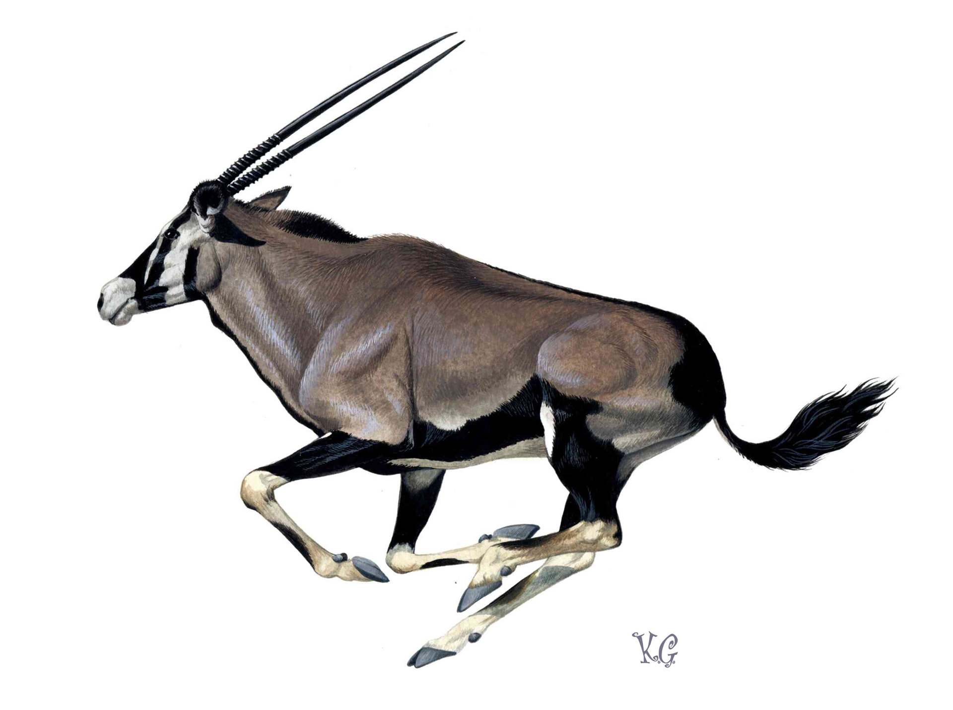 ArtStation - Antelope