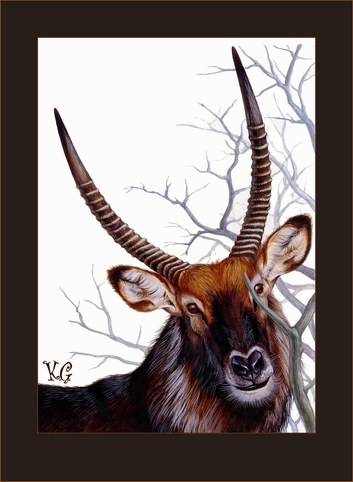 ArtStation - Antelope