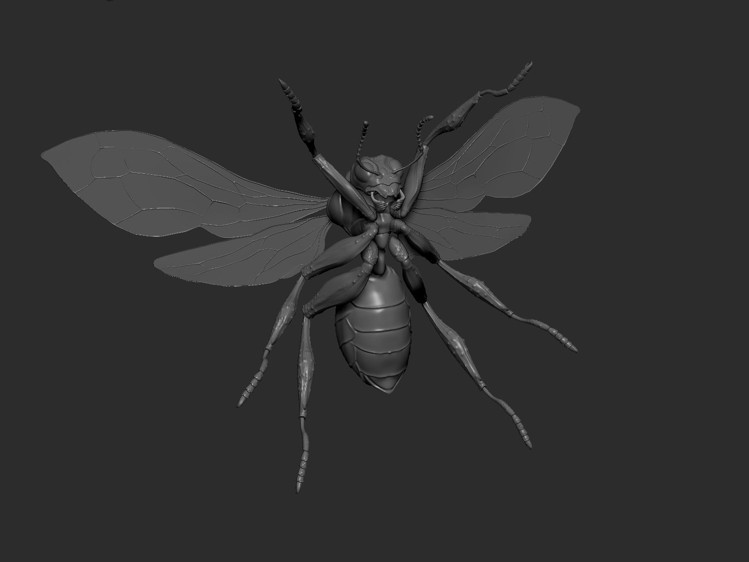 Jorge Castillo - Insect Studio