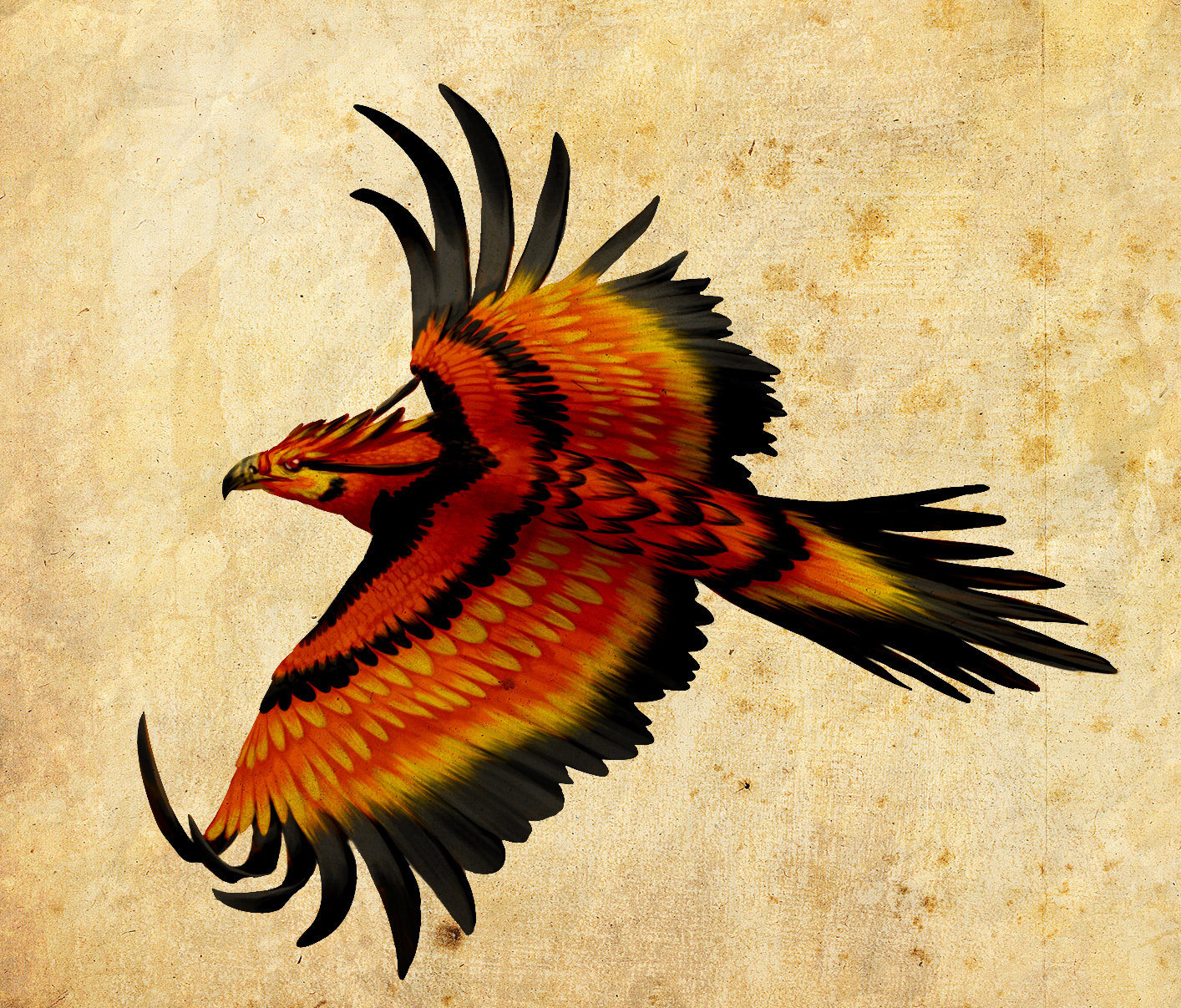 Katarzyna Pieróg - Ether Fields - Alerion