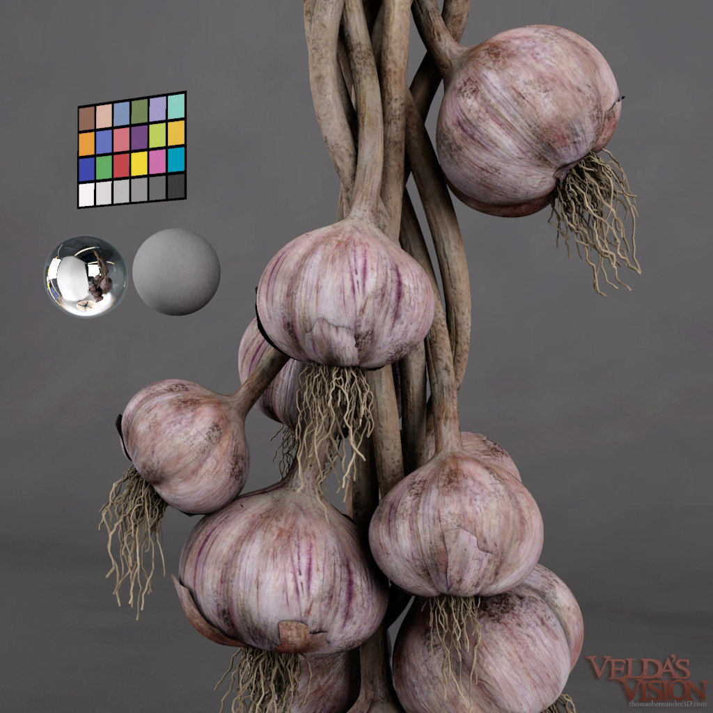 ArtStation - Garlics /// Velda's Vision