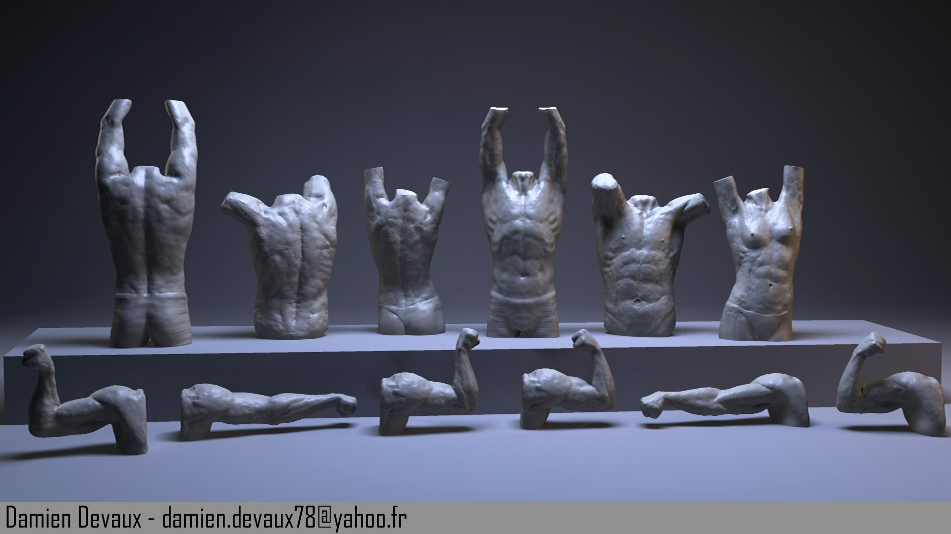 ArtStation - Anatomy Study