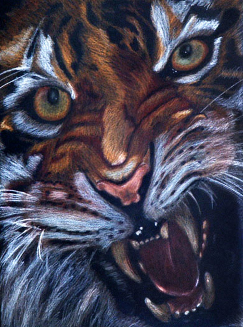 ArtStation - "Tiger"