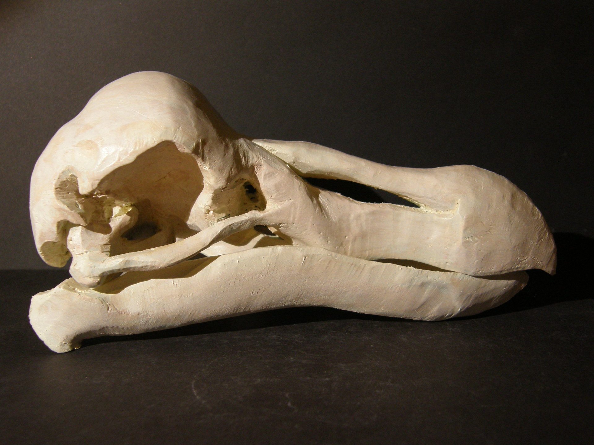dodo bird skeleton stl