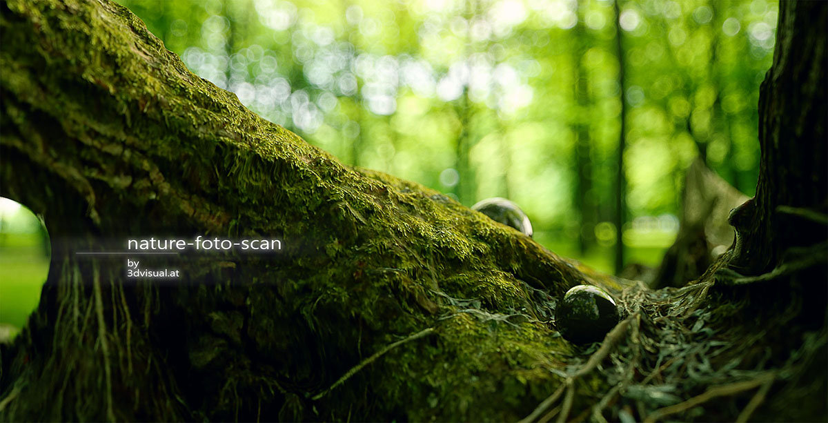 ArtStation - nature scan two