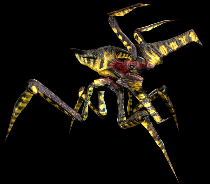 ArtStation - Warrior Bug