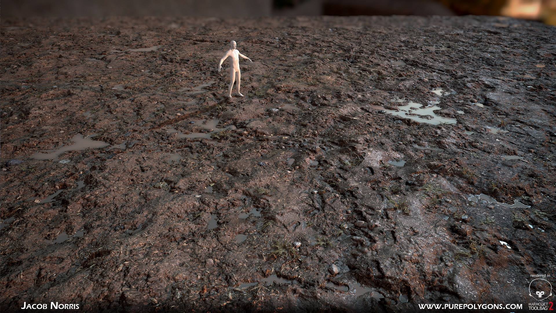 ArtStation - Muddy Ground with Puddles