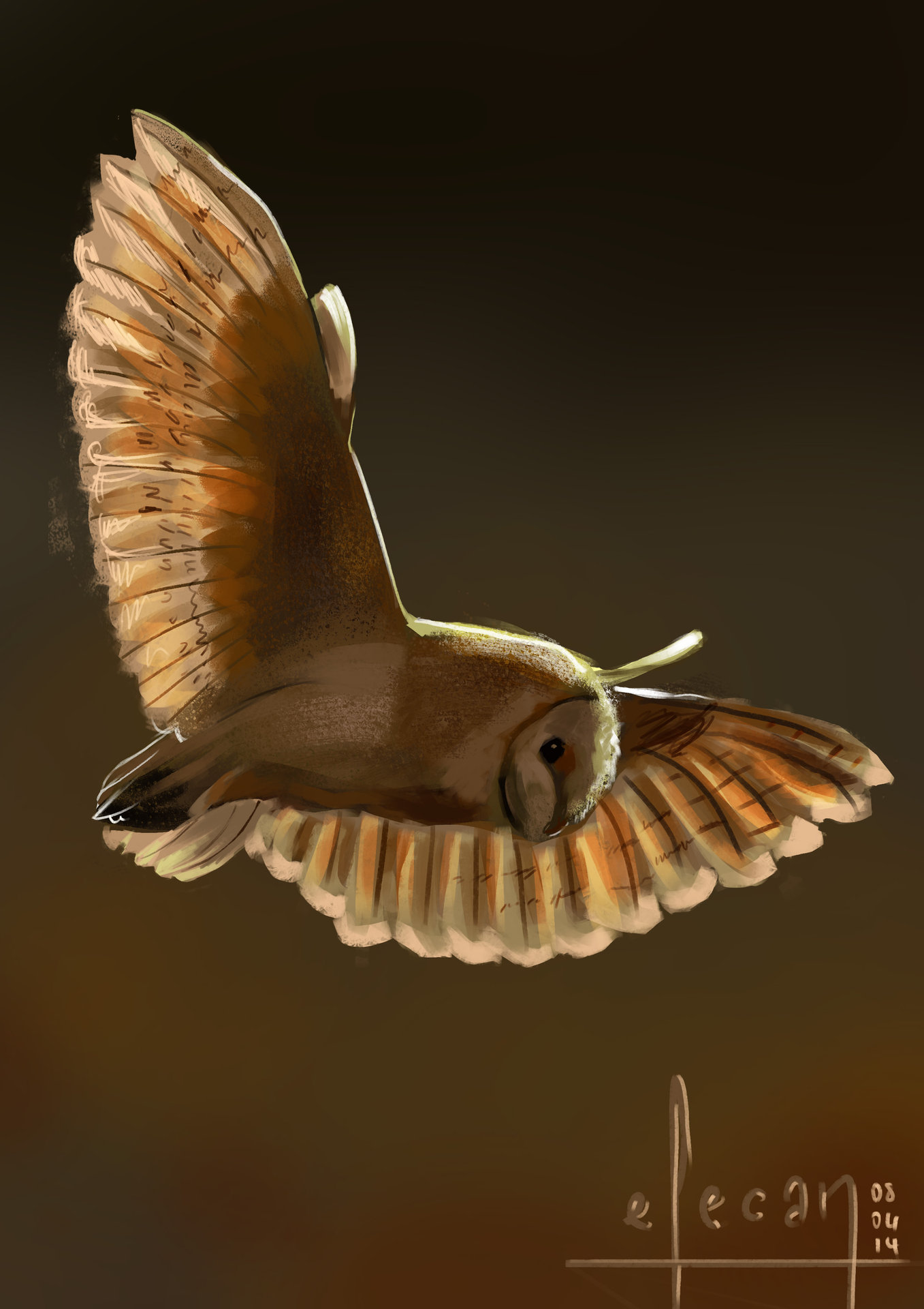 ArtStation - flying owl
