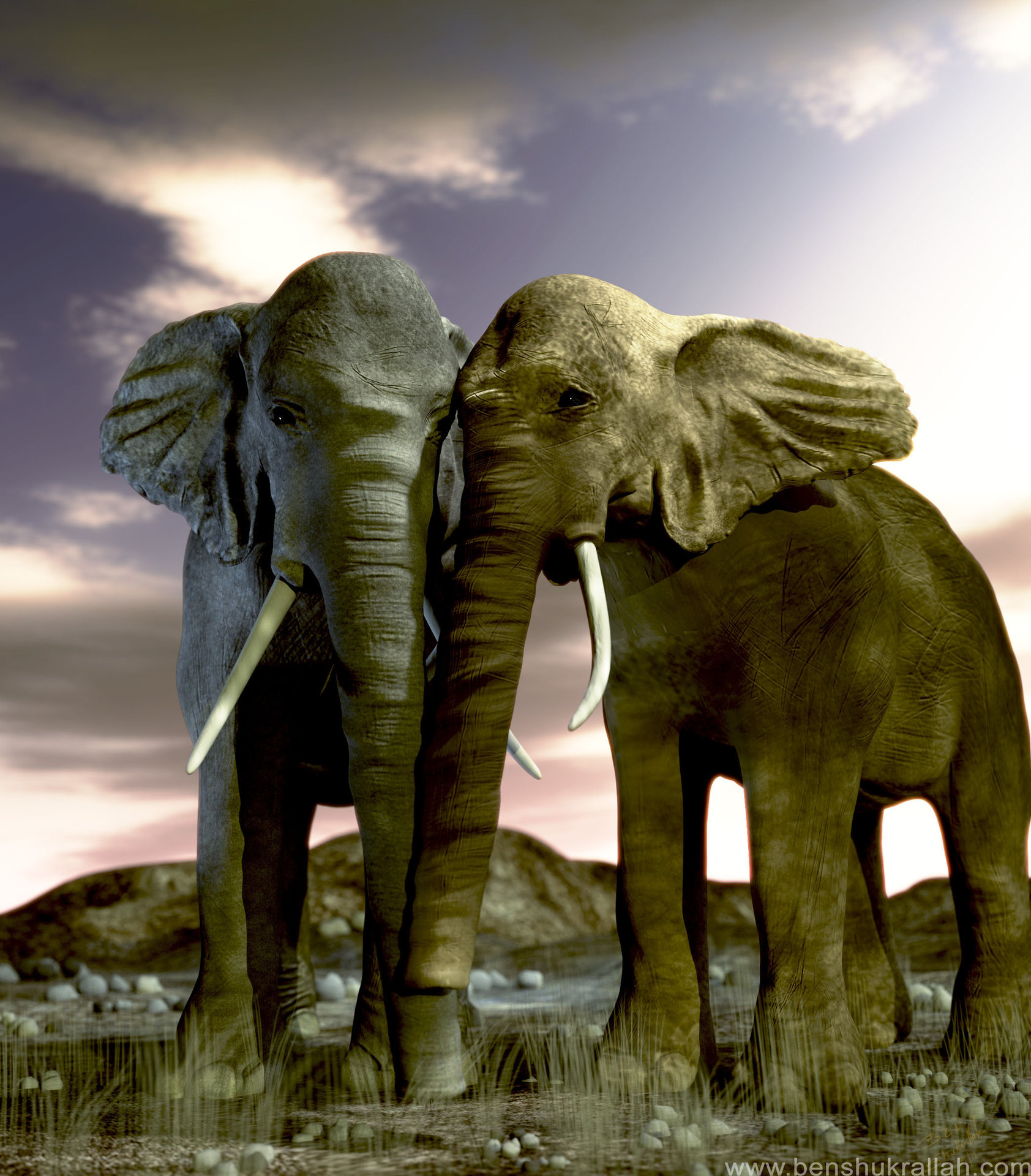 ArtStation - Ebony and Ivory