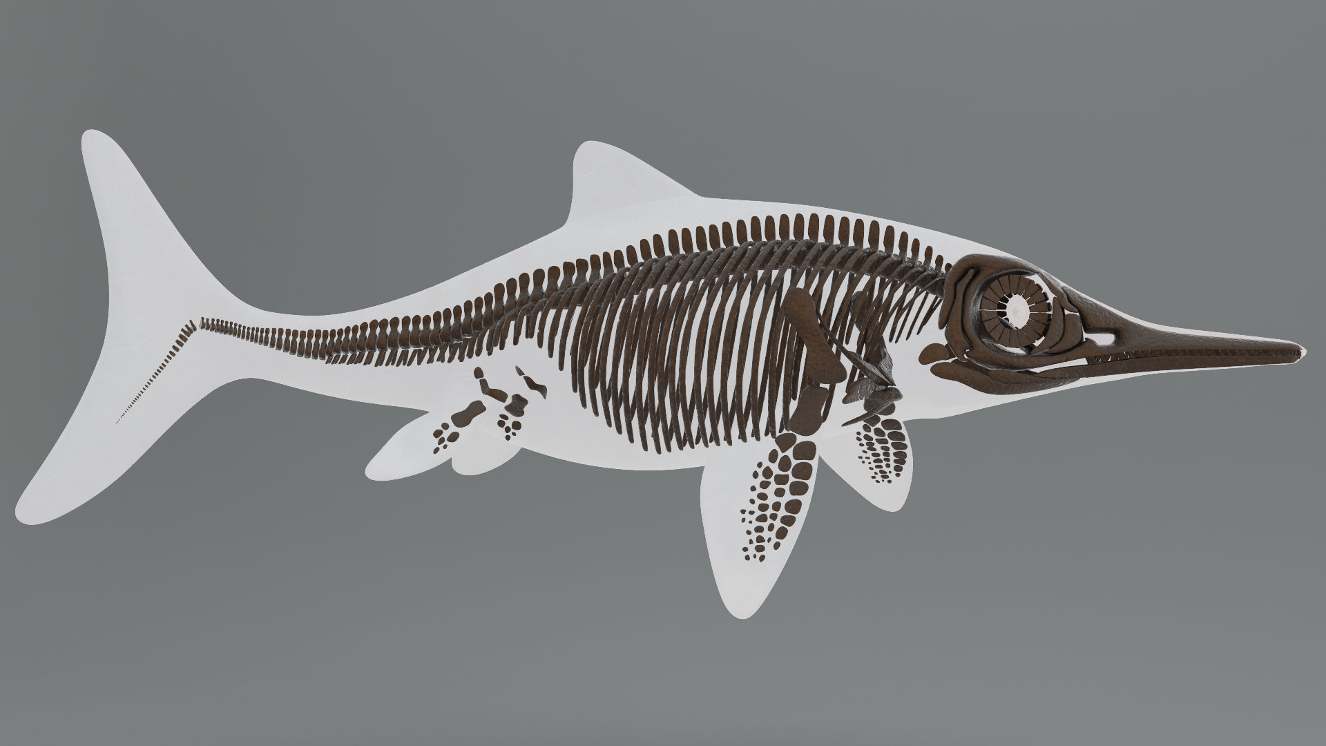 ichthyosaur skeleton 3d