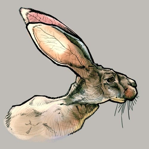 ArtStation - Rabbit 2