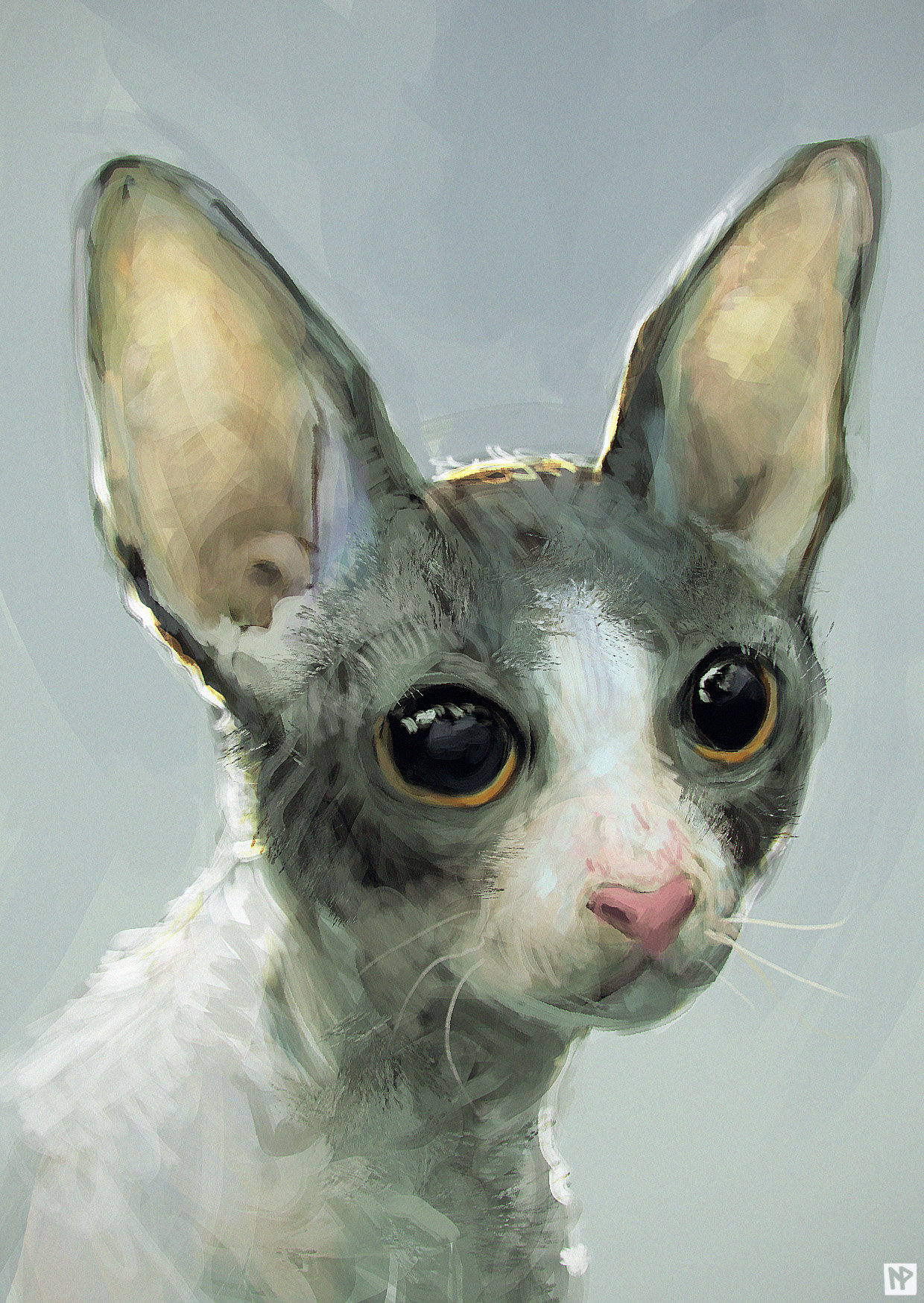 ArtStation - Cornish Rex, Lennart Verhoeff