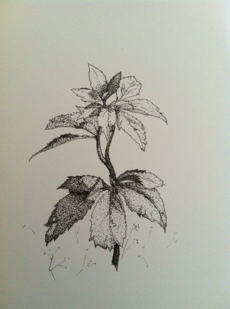 ArtStation - Pen and Ink Sketch