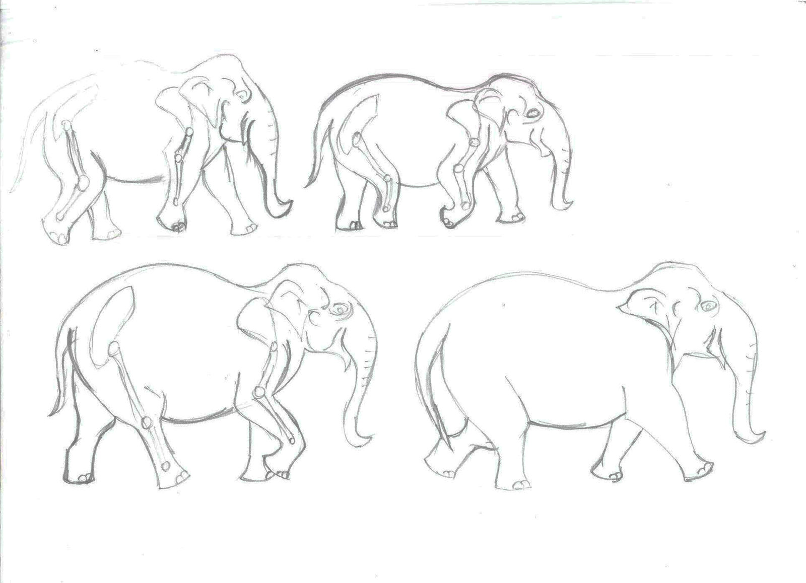 Palanikumar Gopal - My Sketches