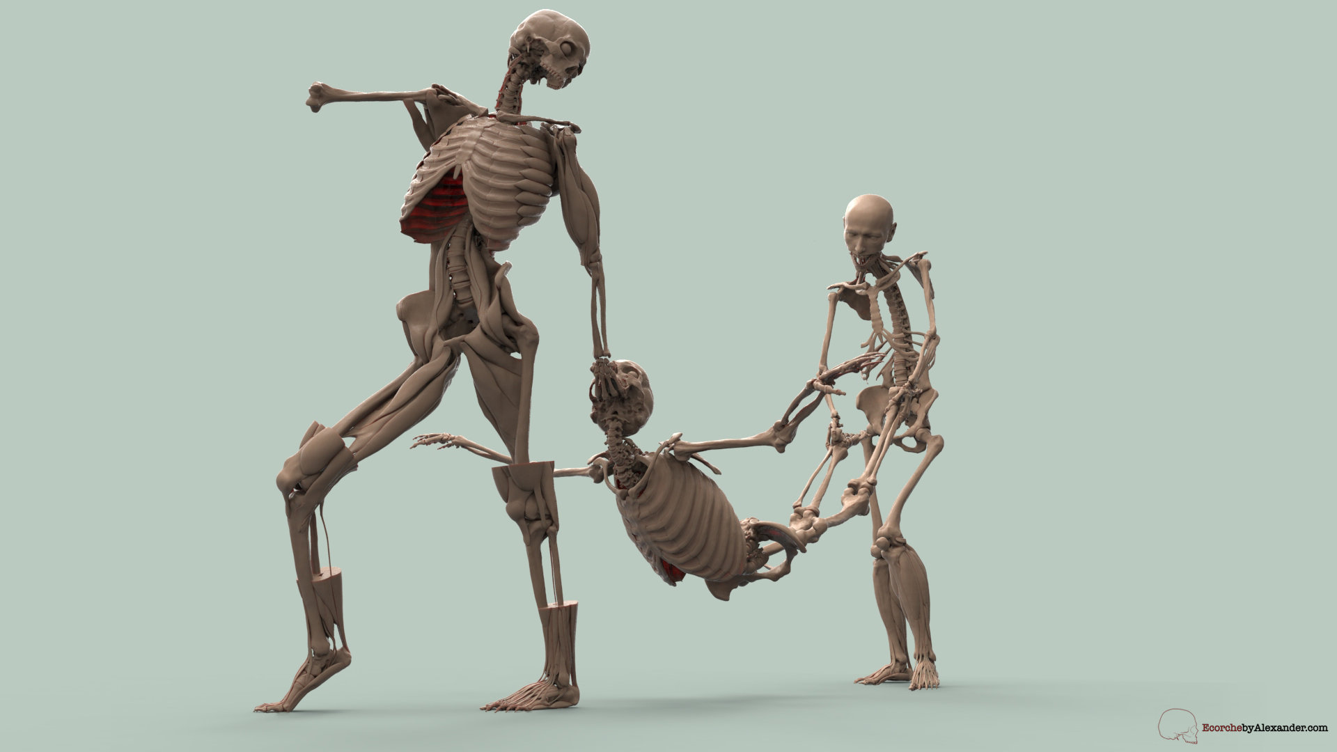 Alexander Kafoussias - Dynamic écorché poses