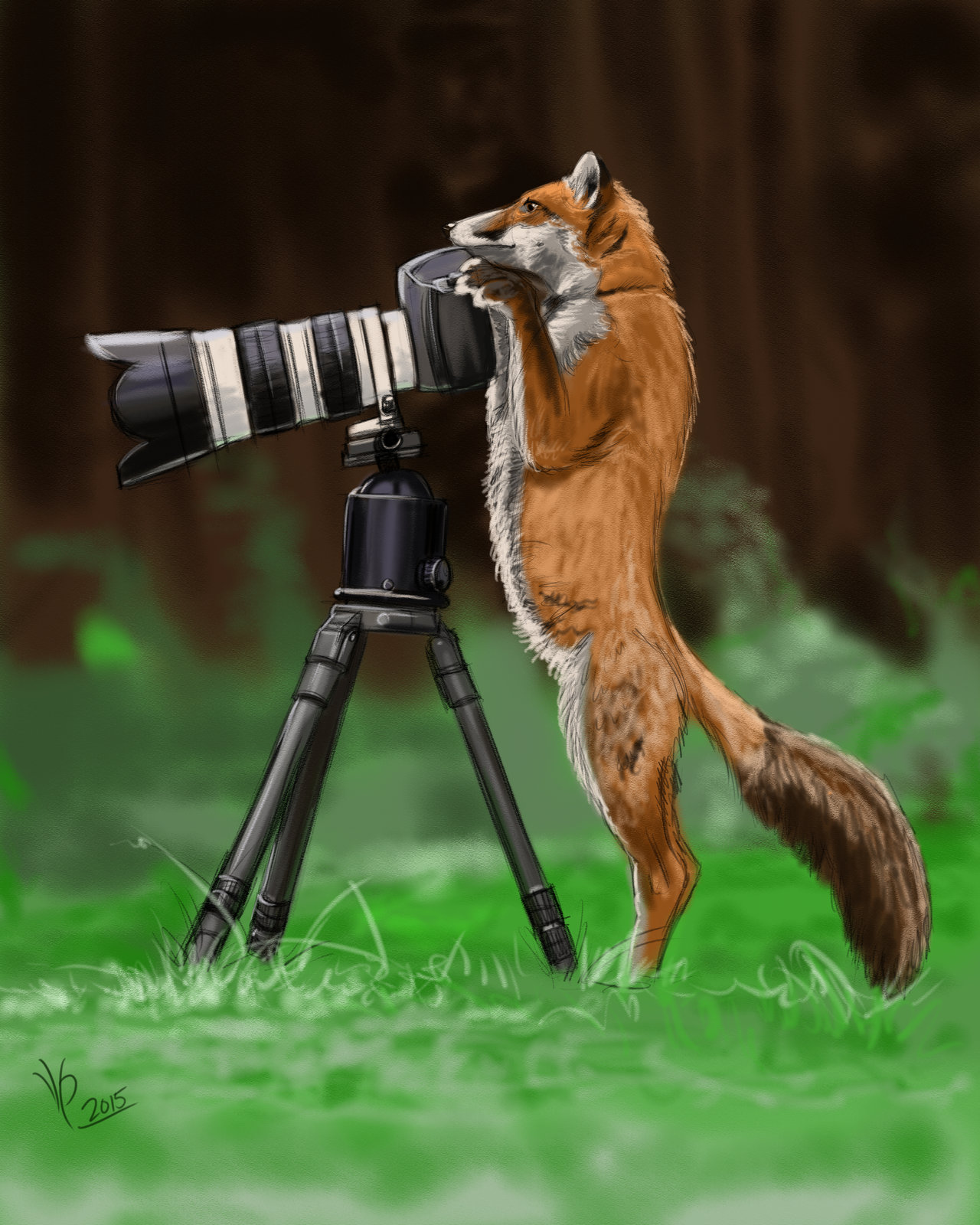 William Phillips - Fox and Camera