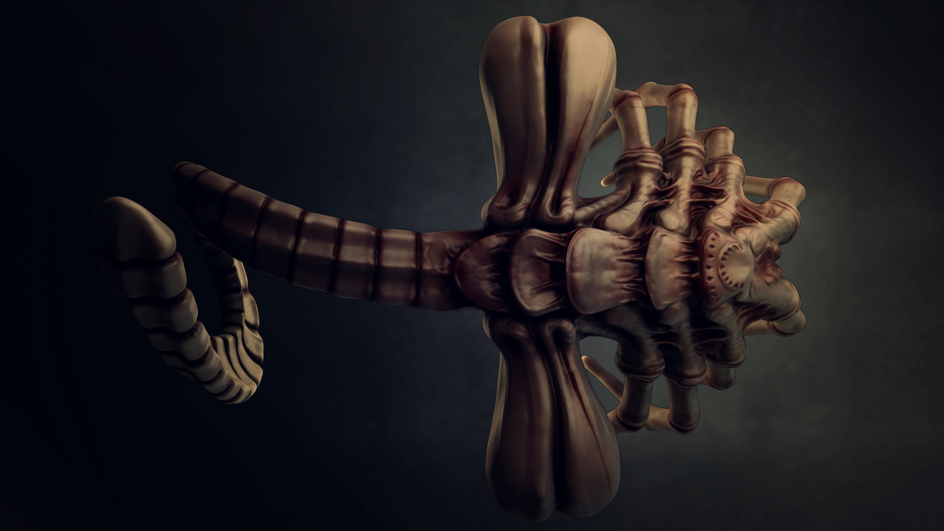 ArtStation - Facehugger