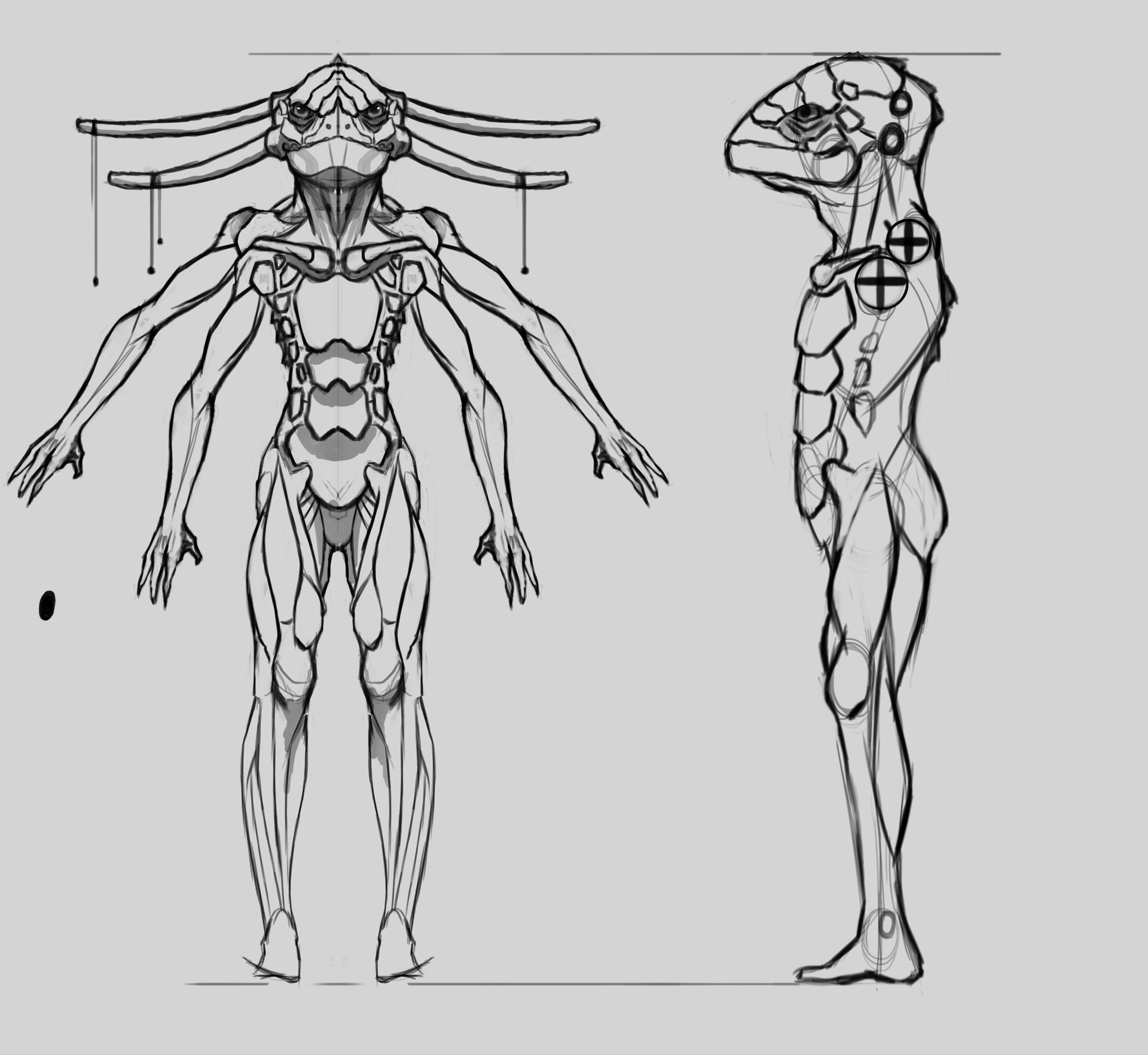 ArtStation - creature concept turnaround