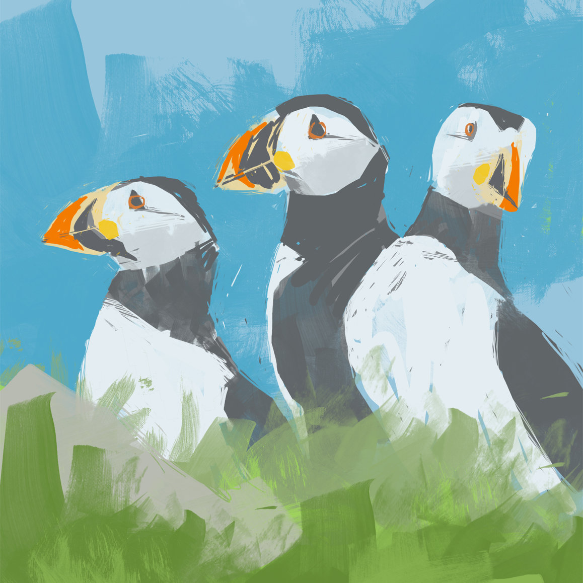 ArtStation - McIntosh Puffins