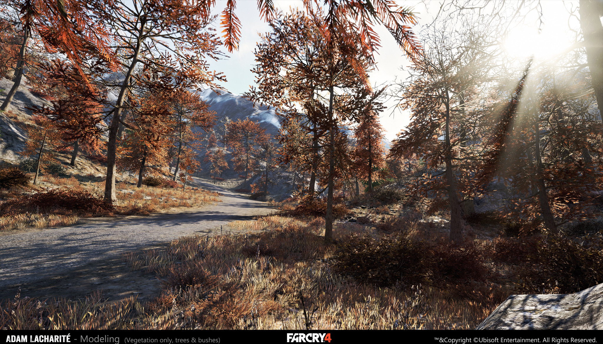Adam Lacharité - Far Cry 4