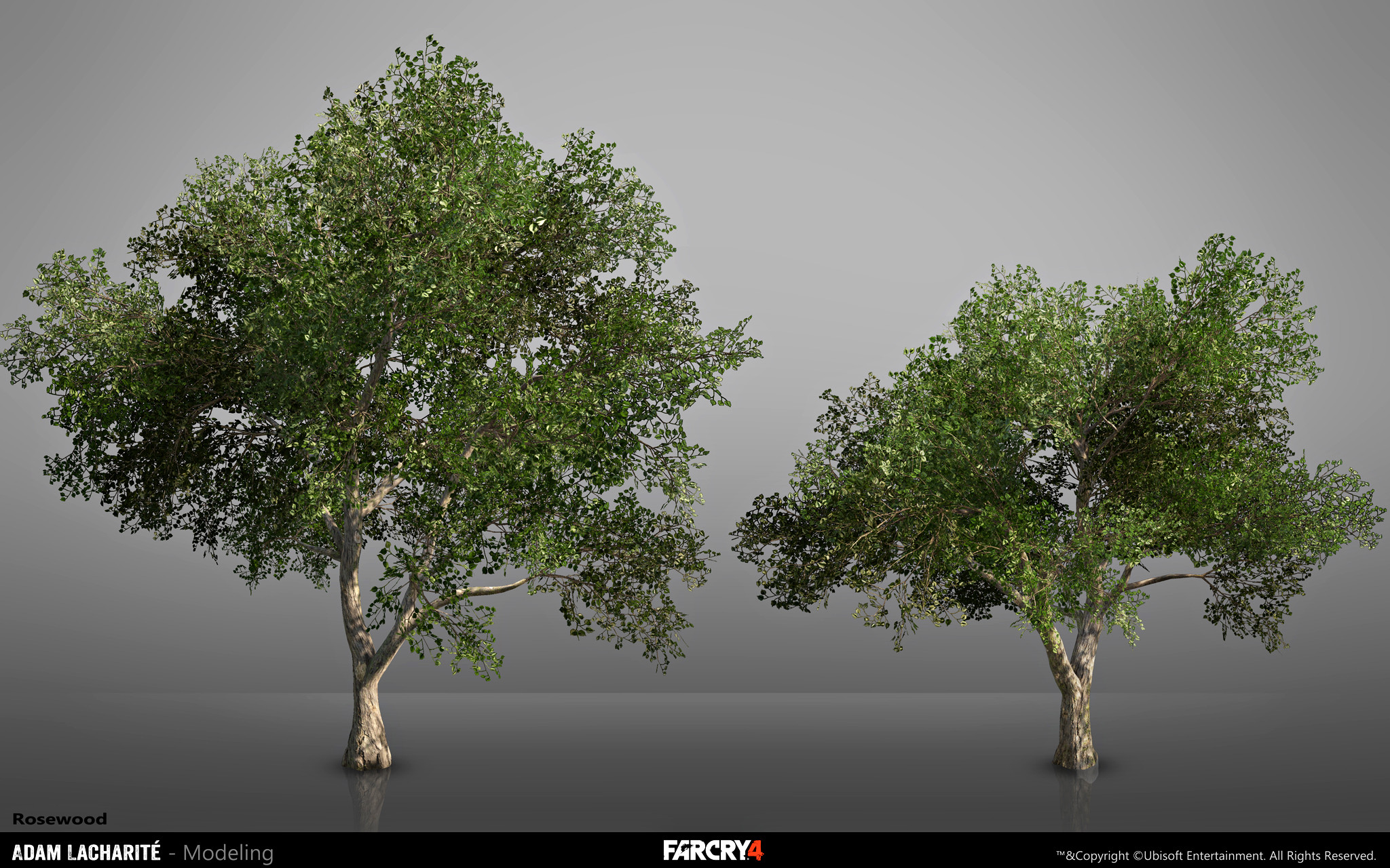 Adam Lacharité - Far Cry 4