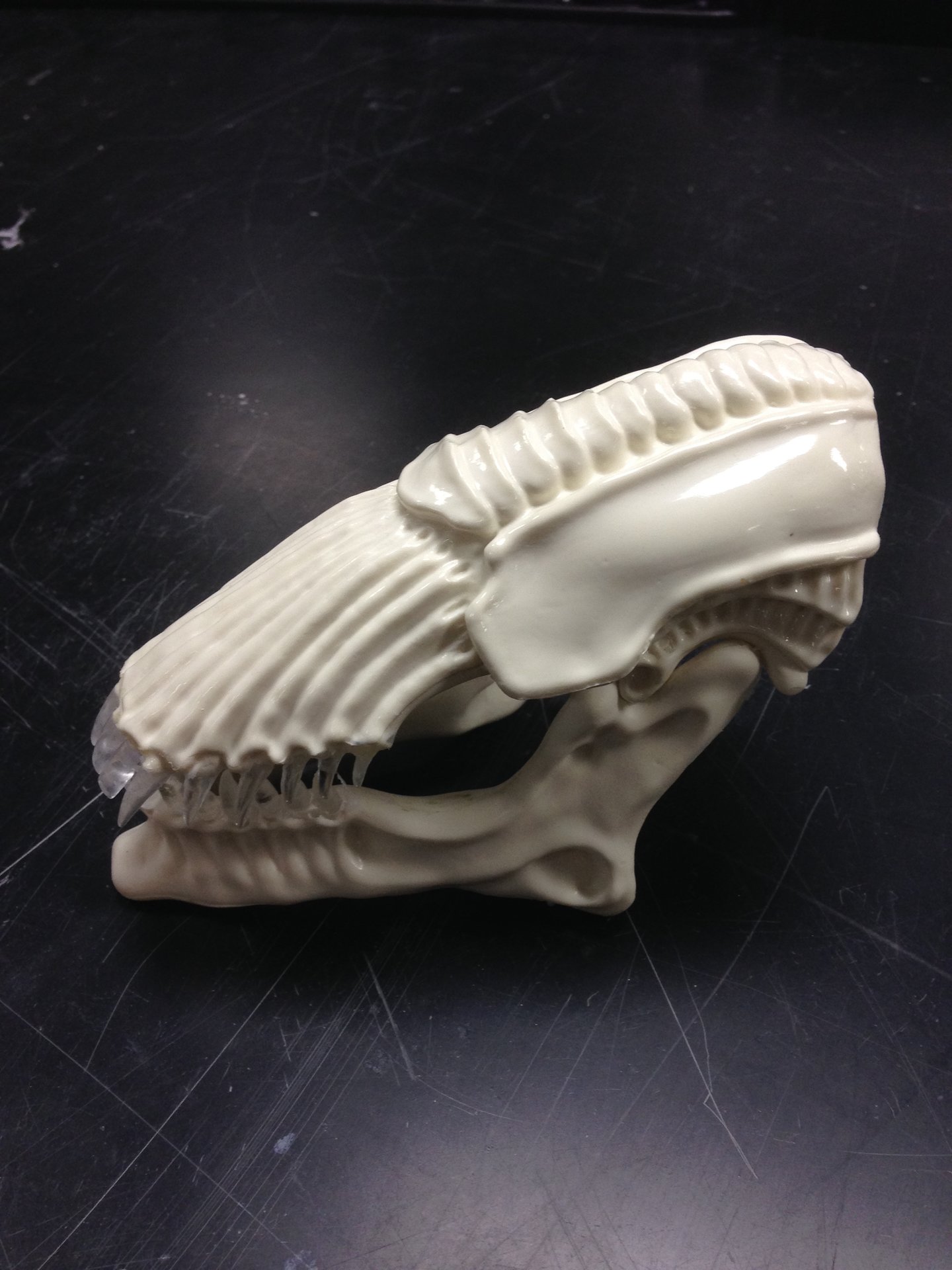 ArtStation - 1/4 scale Queen Alien Skull