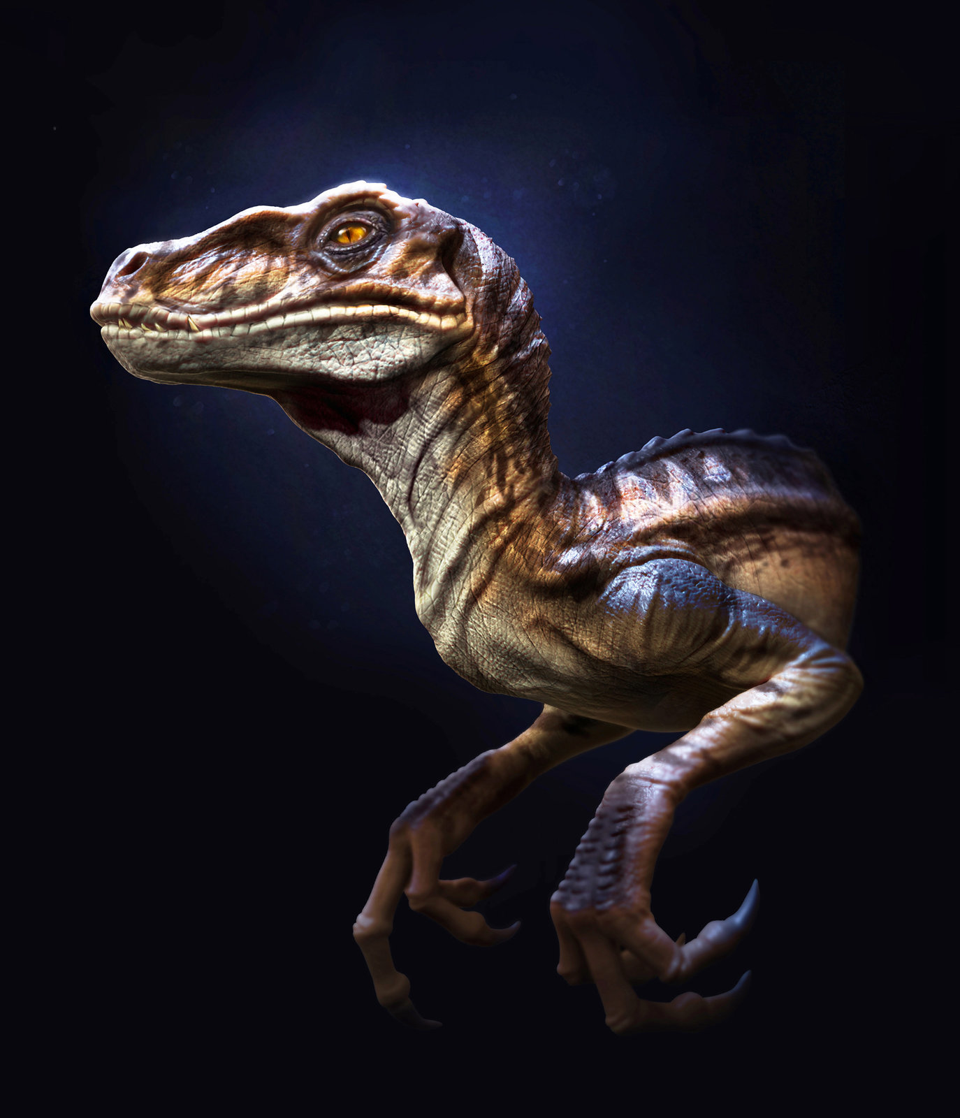 Steve Klit - Velociraptor Study