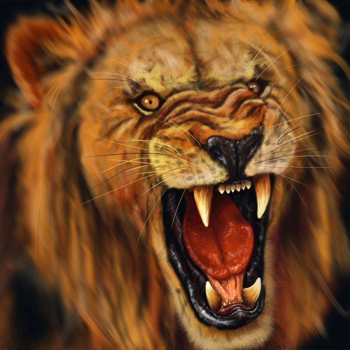 ArtStation - Lion Paintings