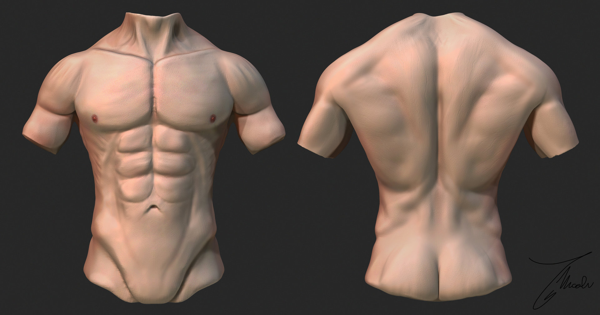 ArtStation - Male Torso Study