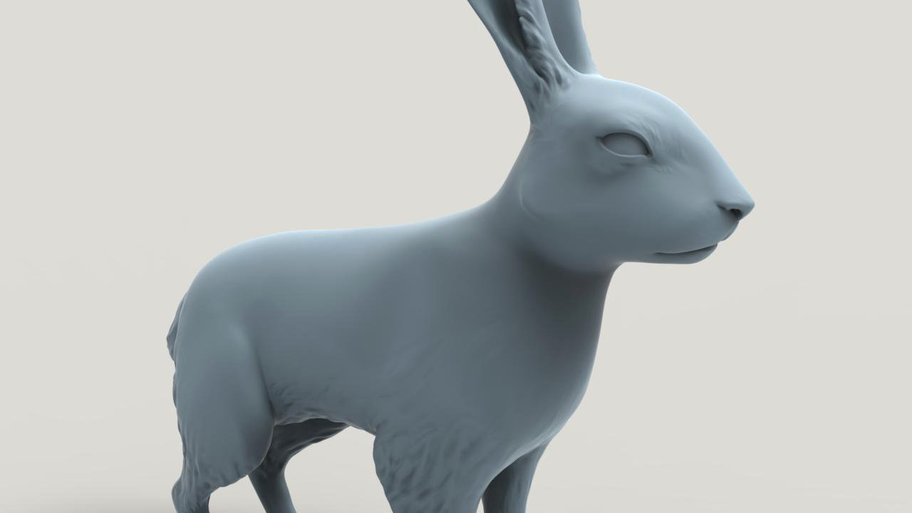 ArtStation - Hare Model