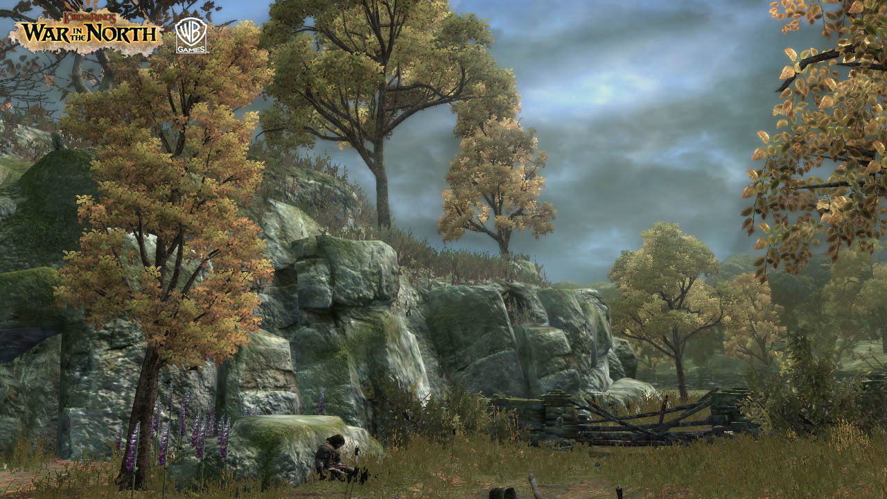 Rory Young - LOTR - War in the North Sarn Ford