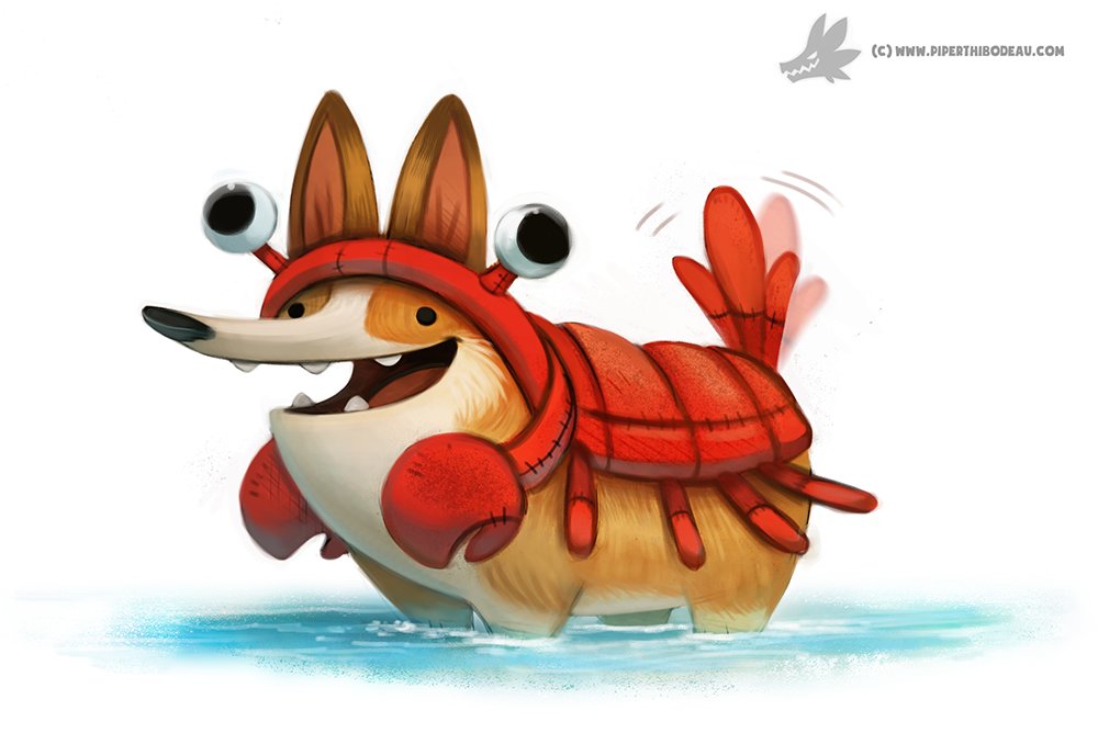 lobster corgi