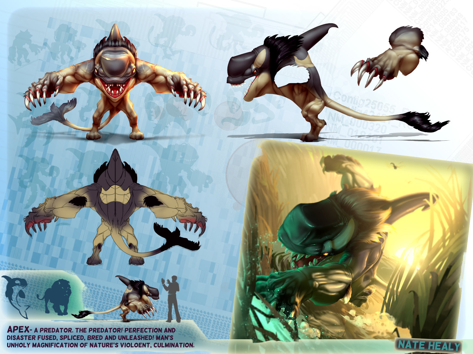 nate healy - Personal Work