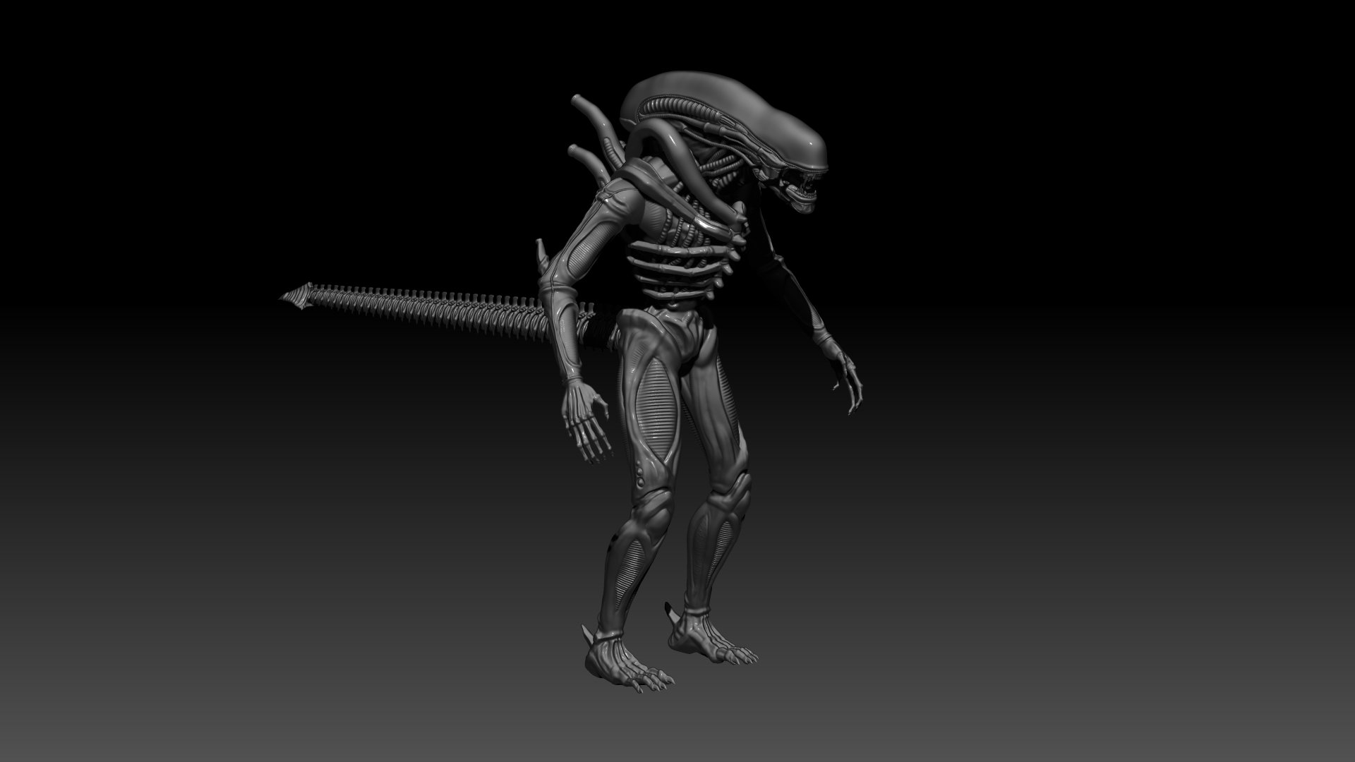Karl Willmann - Xenomorph