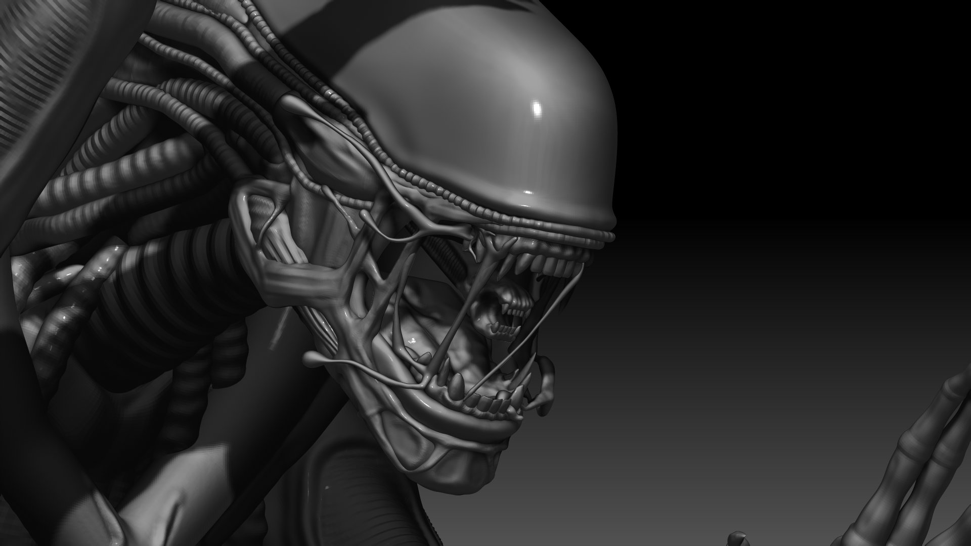 Karl Willmann - Xenomorph
